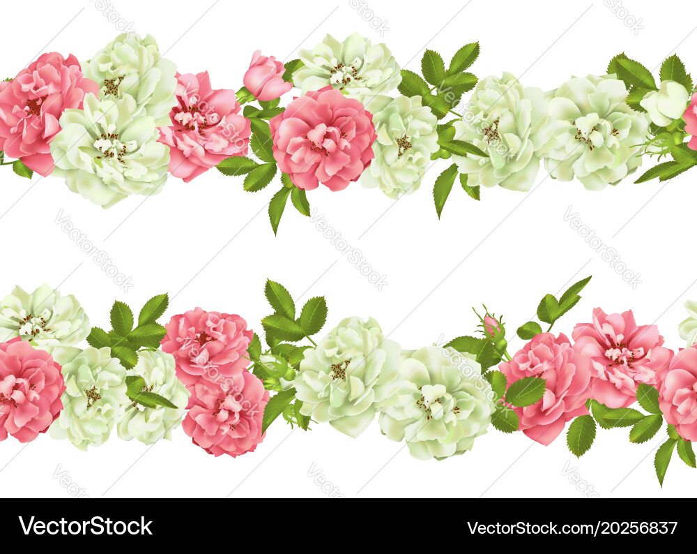 Realistic pink rose 3d seamless roses Royalty Free Vector