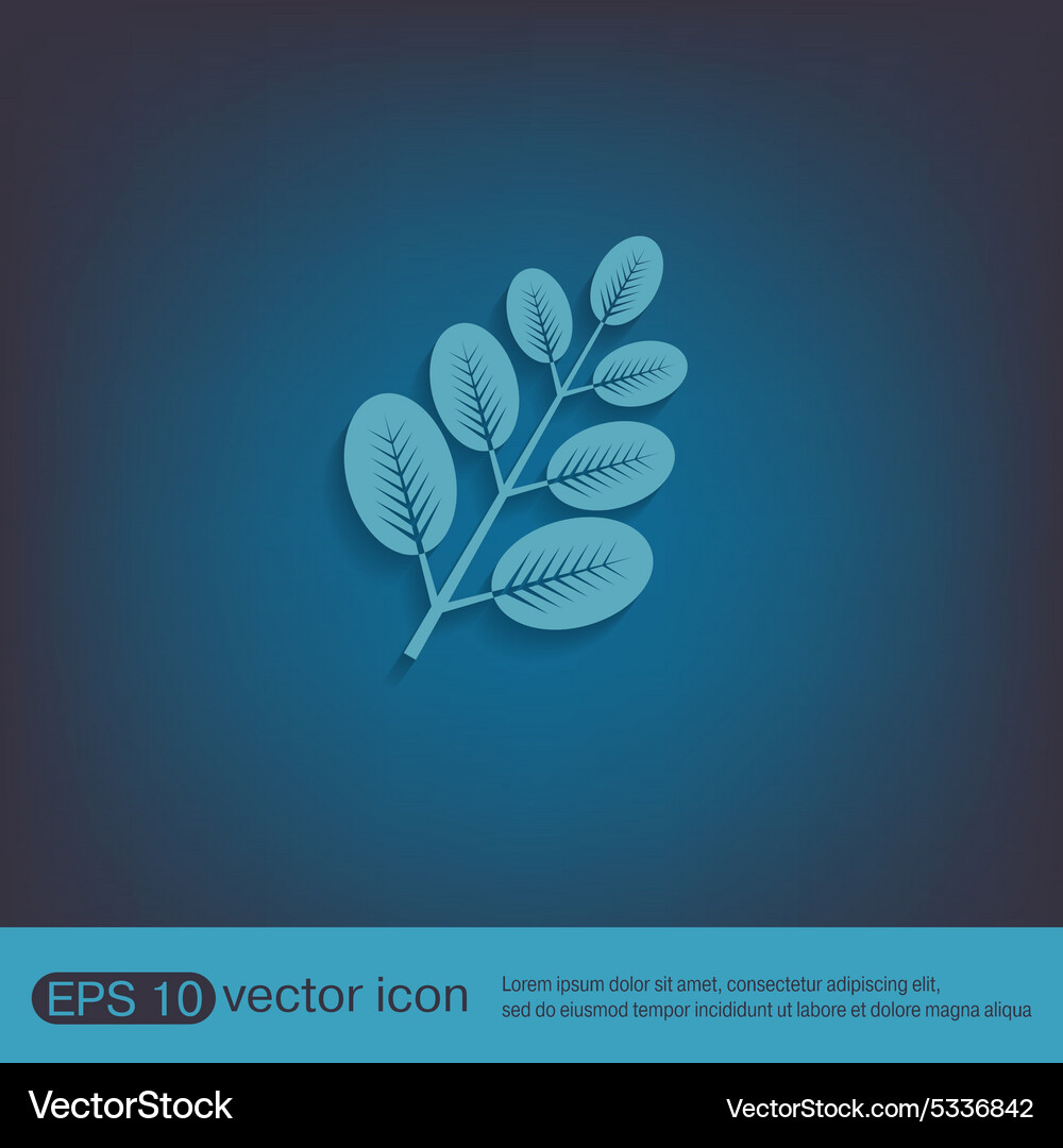 Branch with leaves symbol icon geometry teaching Vector Image