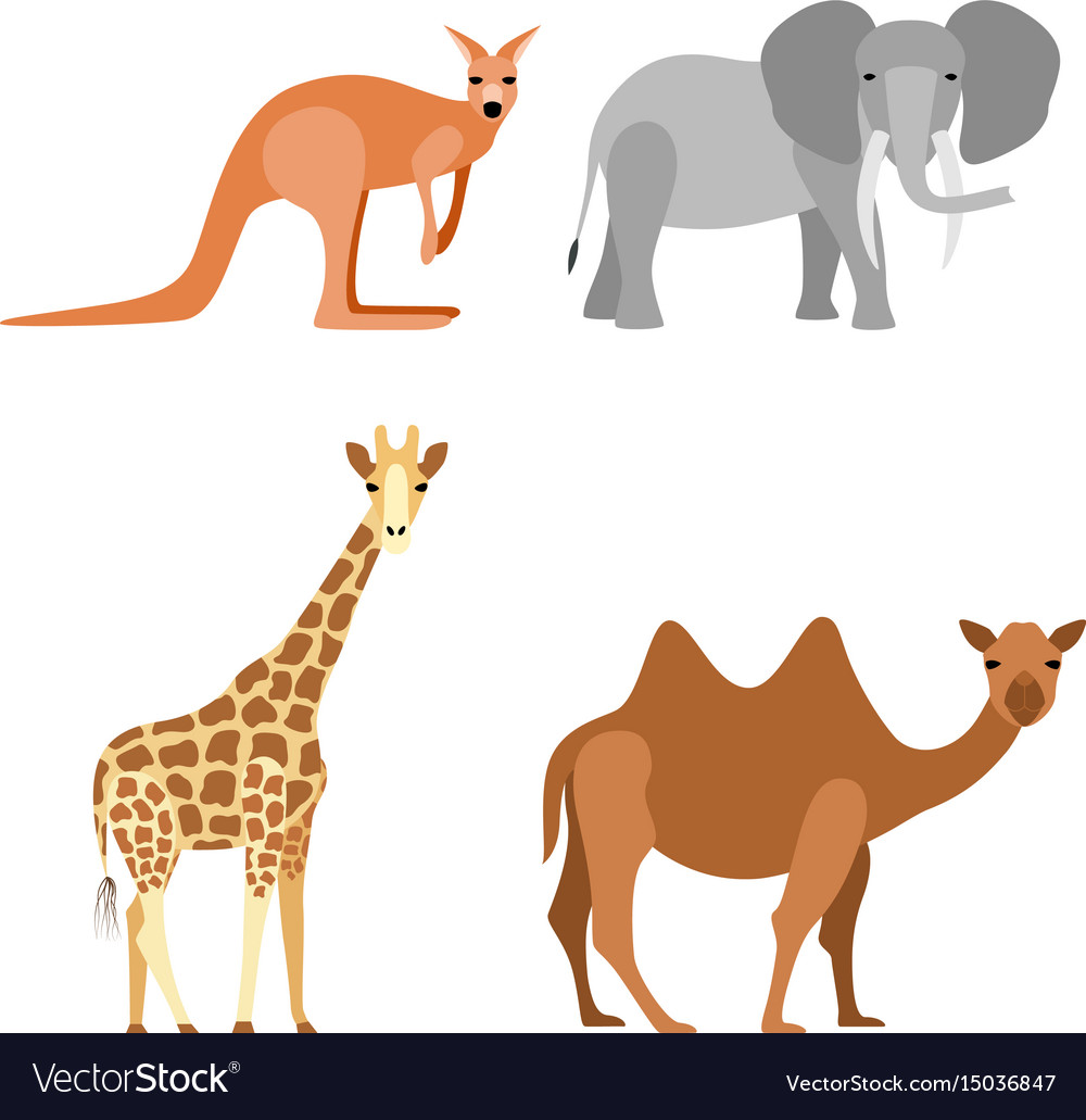 Set animals Royalty Free Vector Image - VectorStock