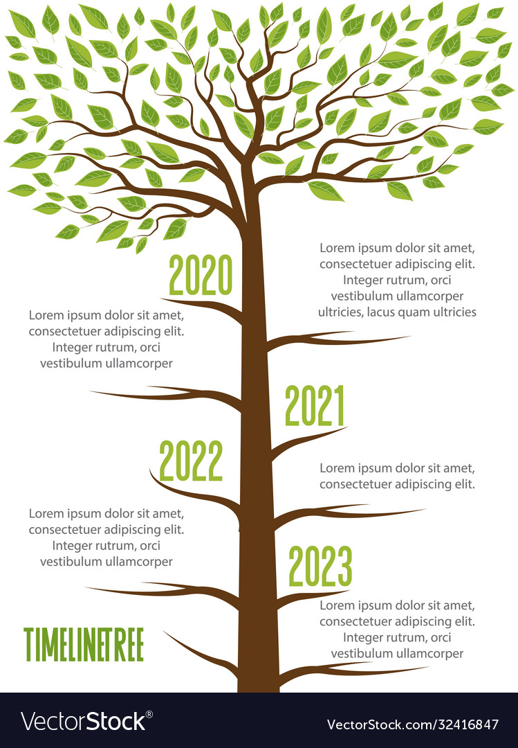 Timeline trees with leaves Royalty Free Vector Image