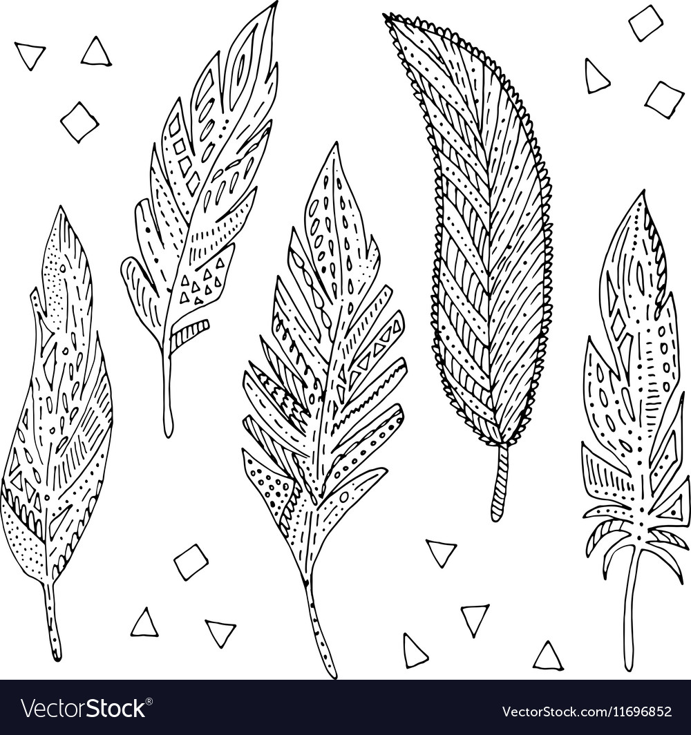 Feather elements set Royalty Free Vector Image