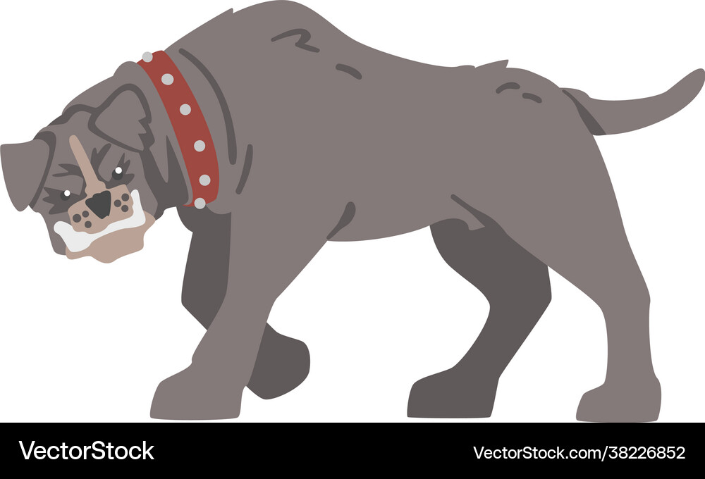 Side view furious aggressive pedigree dog Vector Image