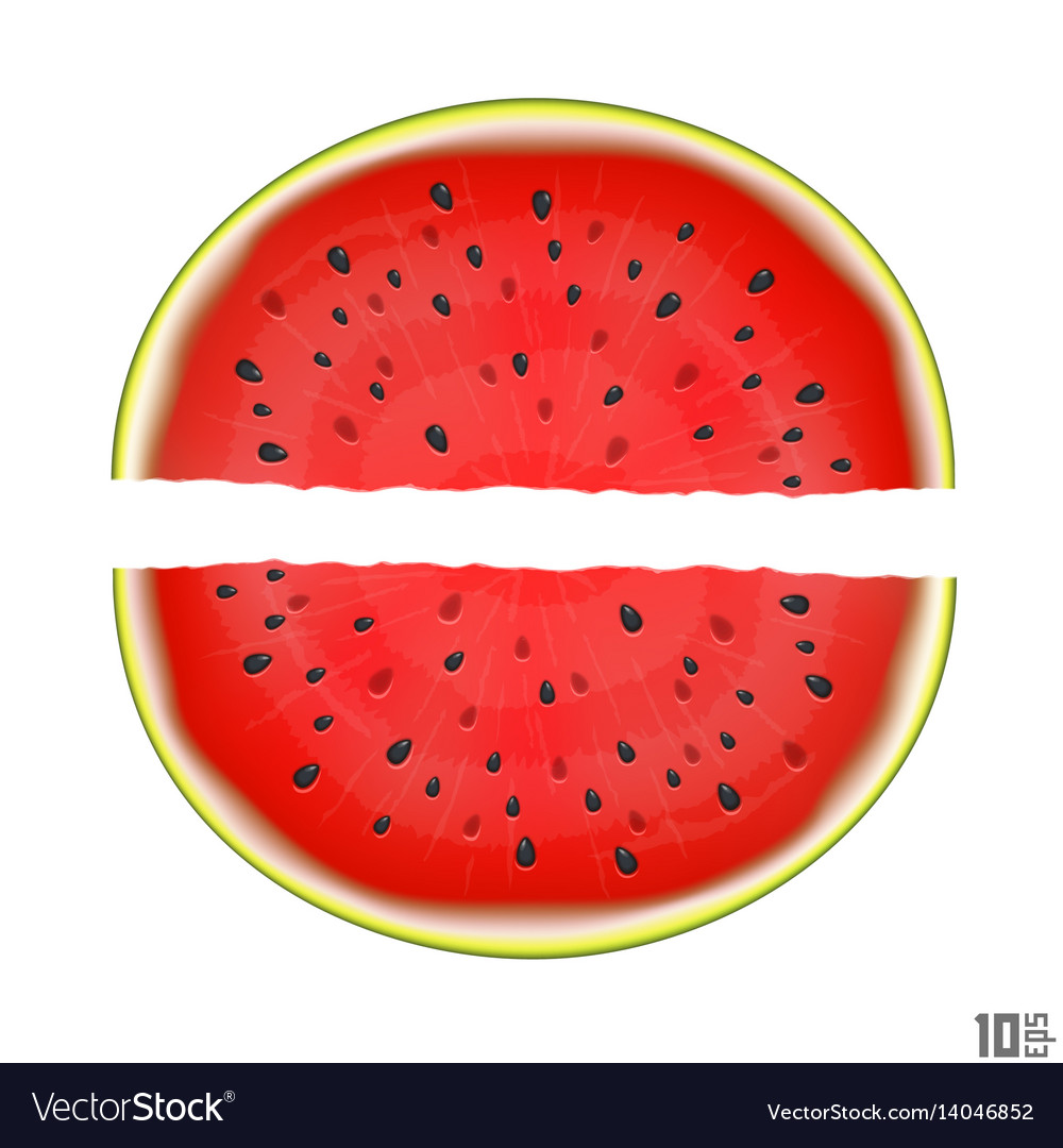 Slice watermelon Royalty Free Vector Image - VectorStock