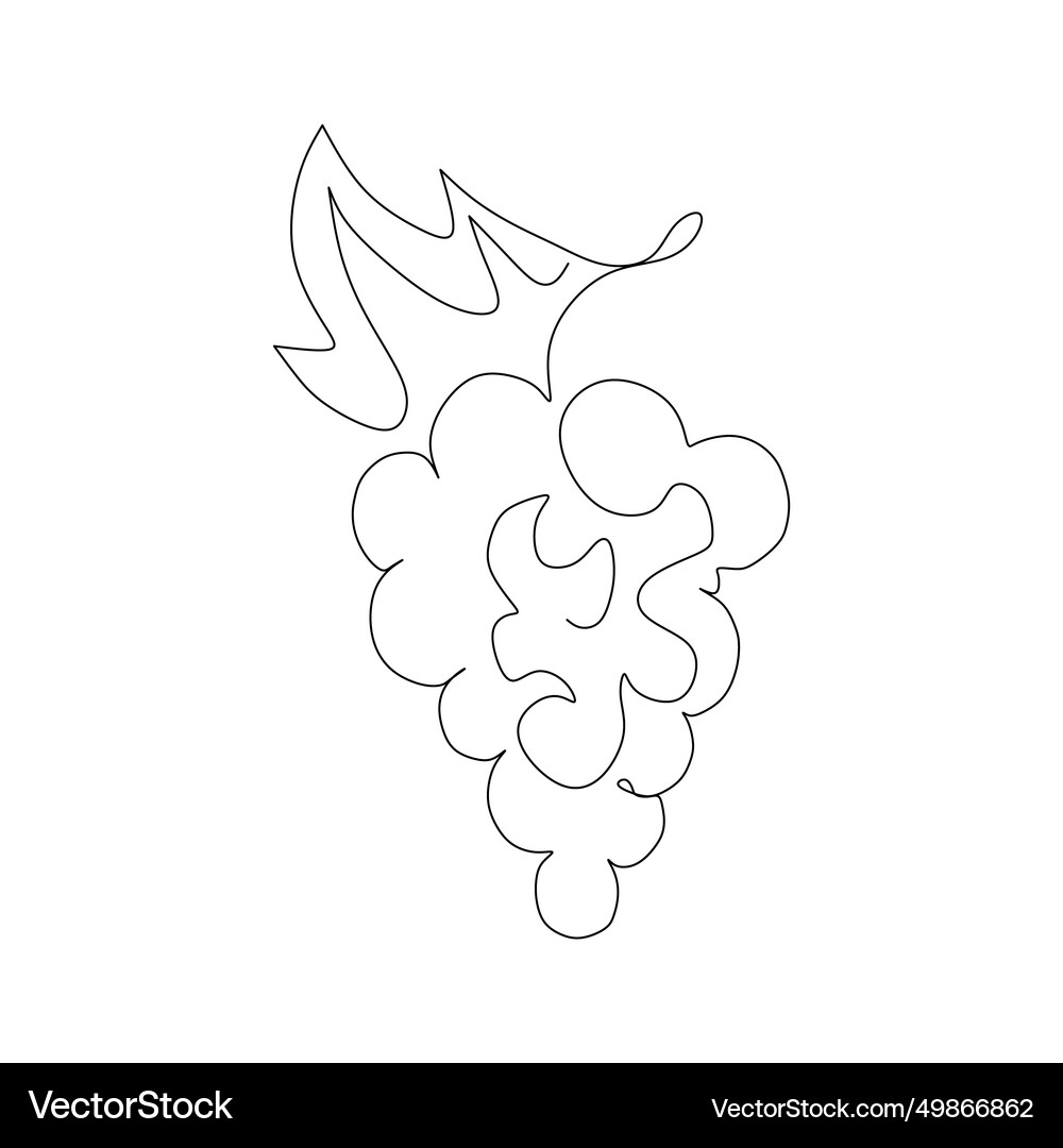 Continuous one line drawing of a bunch grapes Vector Image