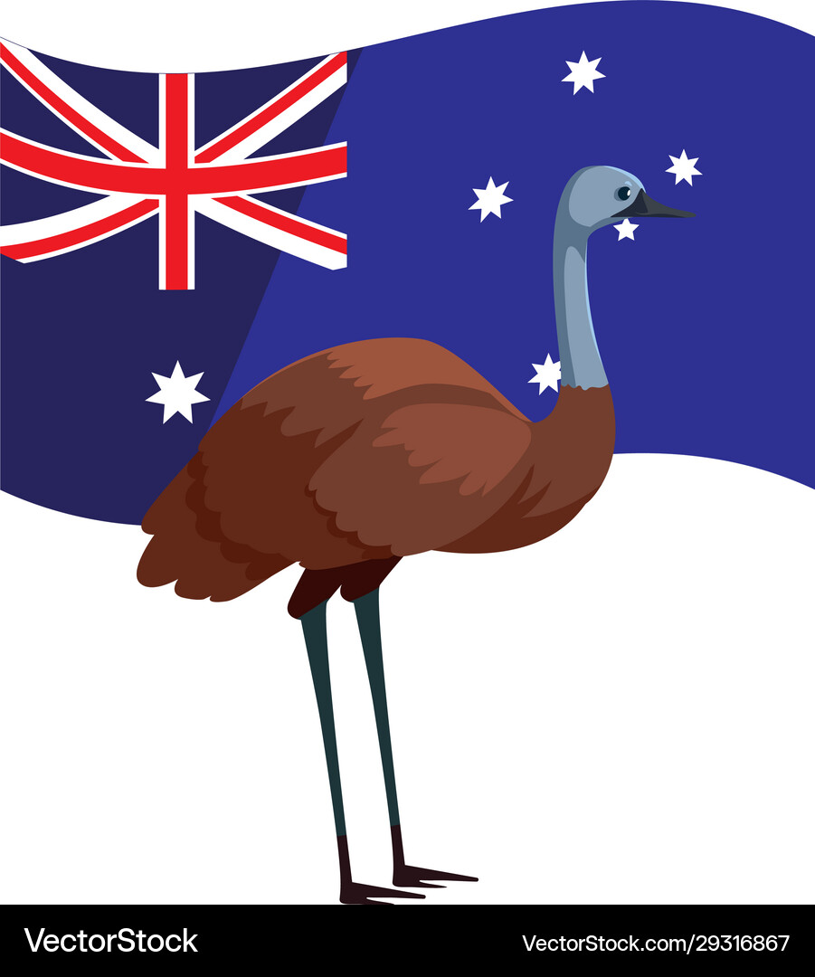 Emu with australian flag in background Royalty Free Vector