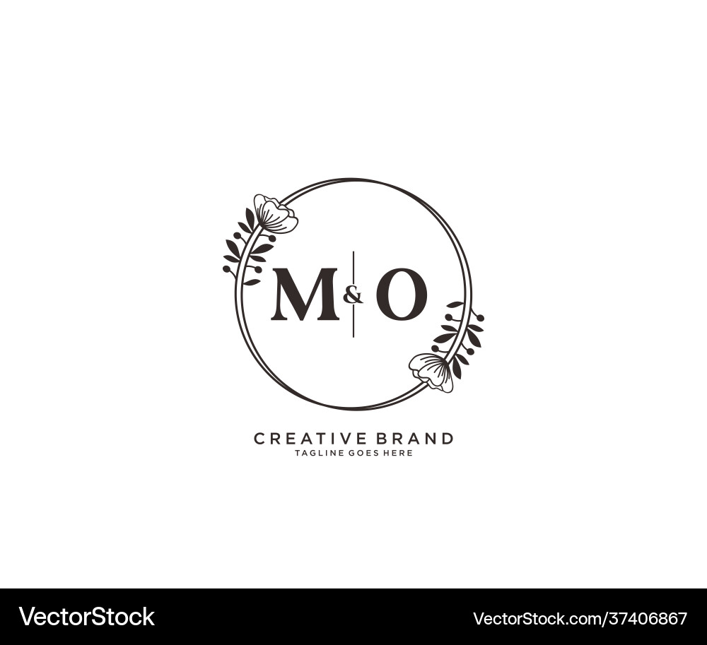 Initial mo letters hand drawn feminine and floral Vector Image