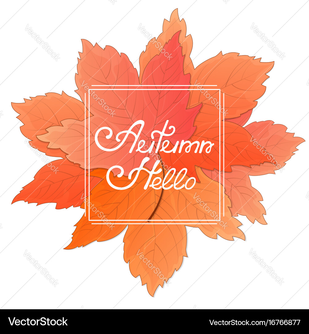 A bouquet of maple leaves frame Royalty Free Vector Image