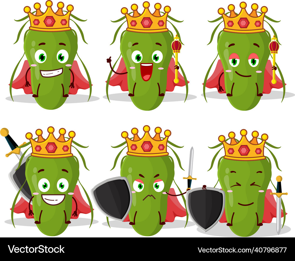 A charismatic king contagious cartoon character Vector Image