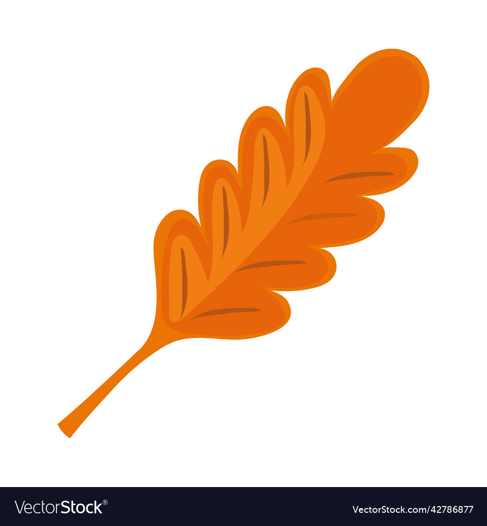 Autumn leaf vegetation Royalty Free Vector Image