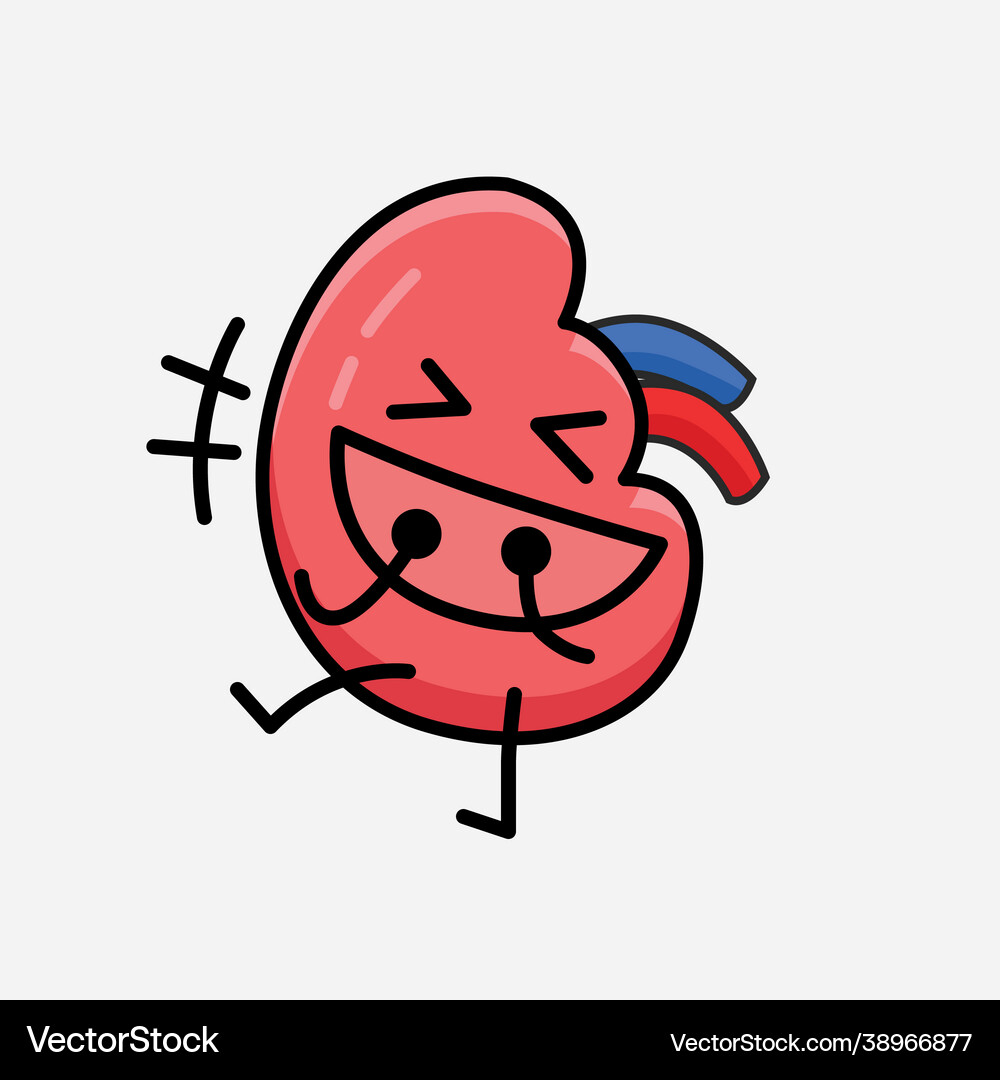 Kidney character with cute face and simple body – Royalty-Free Vector ...