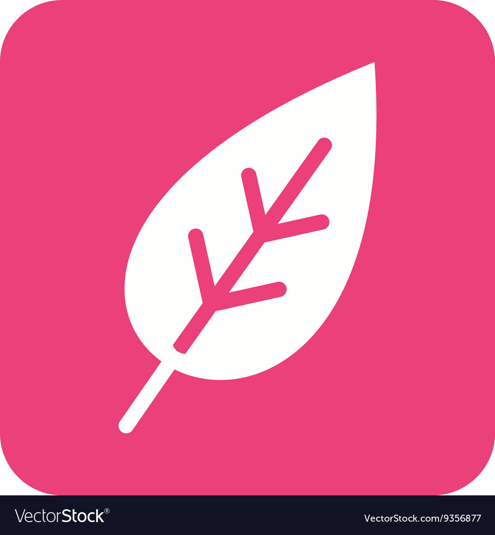 Leaf Royalty Free Vector Image - VectorStock