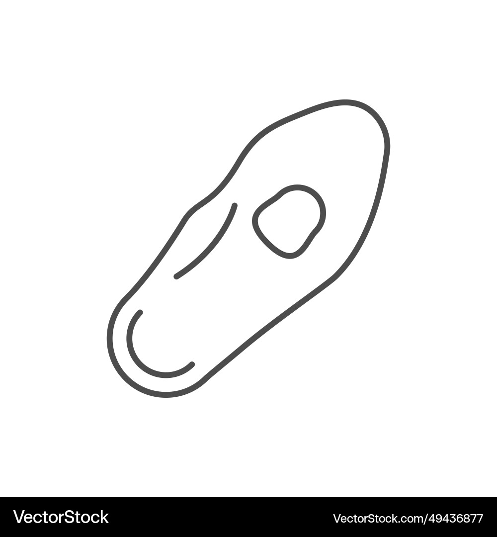 Orthopedic insole line outline icon Royalty Free Vector