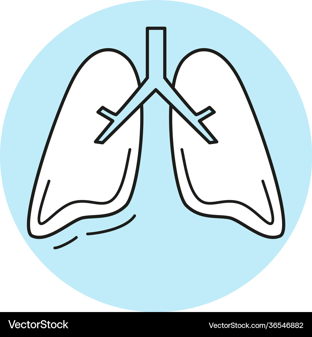 Human lungs medical icon in flat design Royalty Free Vector