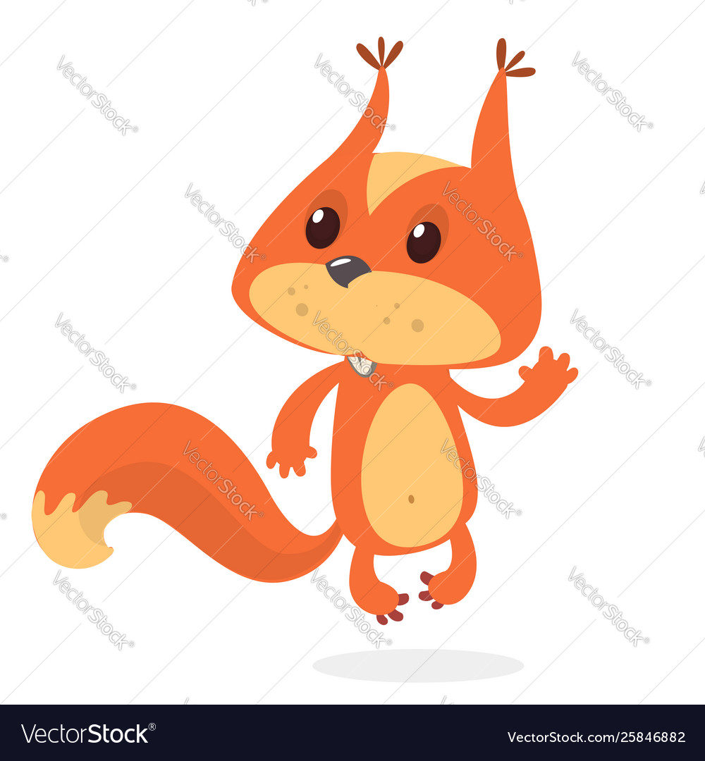 Red squirrel Royalty Free Vector Image - VectorStock