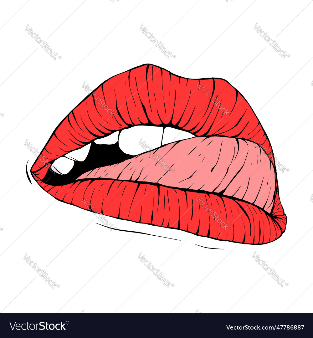 Red Female Lips Sketch Line Art Royalty Free Vector Image