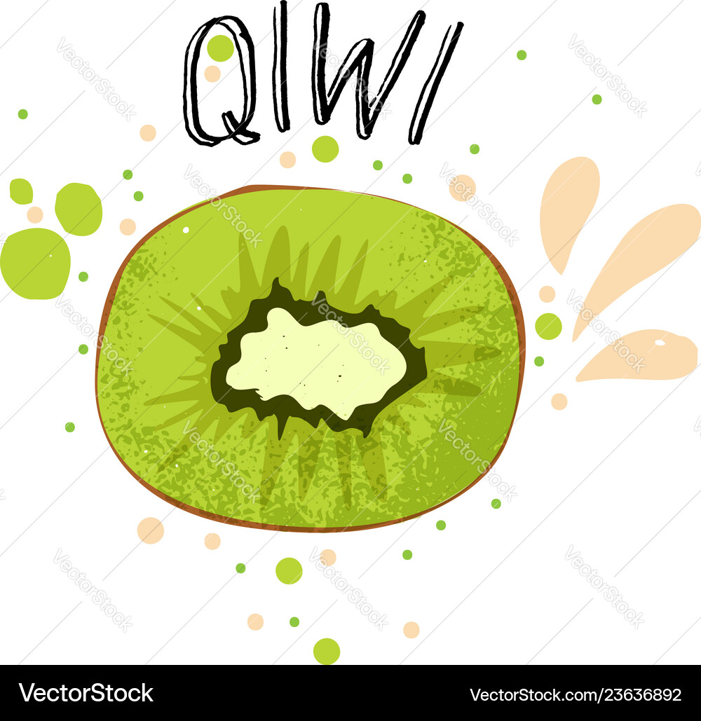 Hand draw qiwi green qiwi Royalty Free Vector Image
