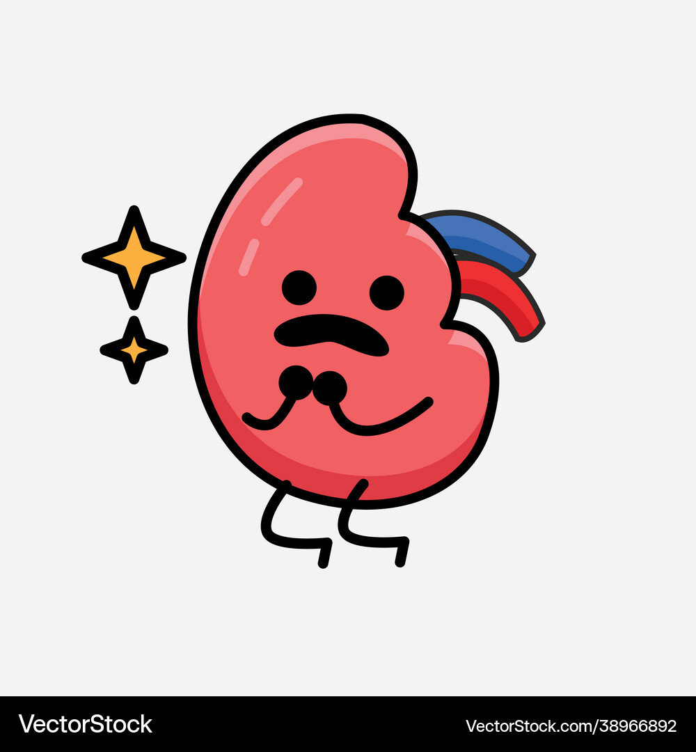 Kidney character with cute face and simple body Vector Image