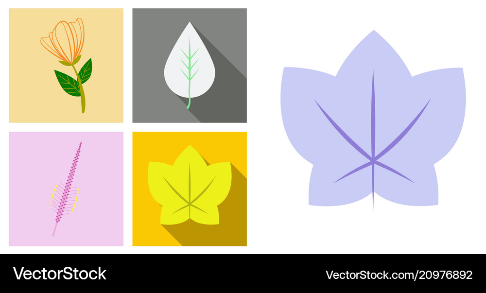 Set treesleaves and flowers in flat concepts Vector Image