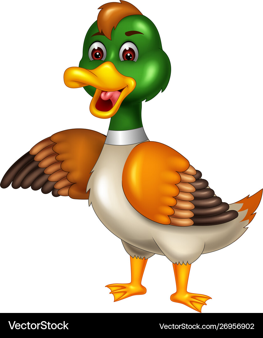 Funny brown duck cartoon Royalty Free Vector Image