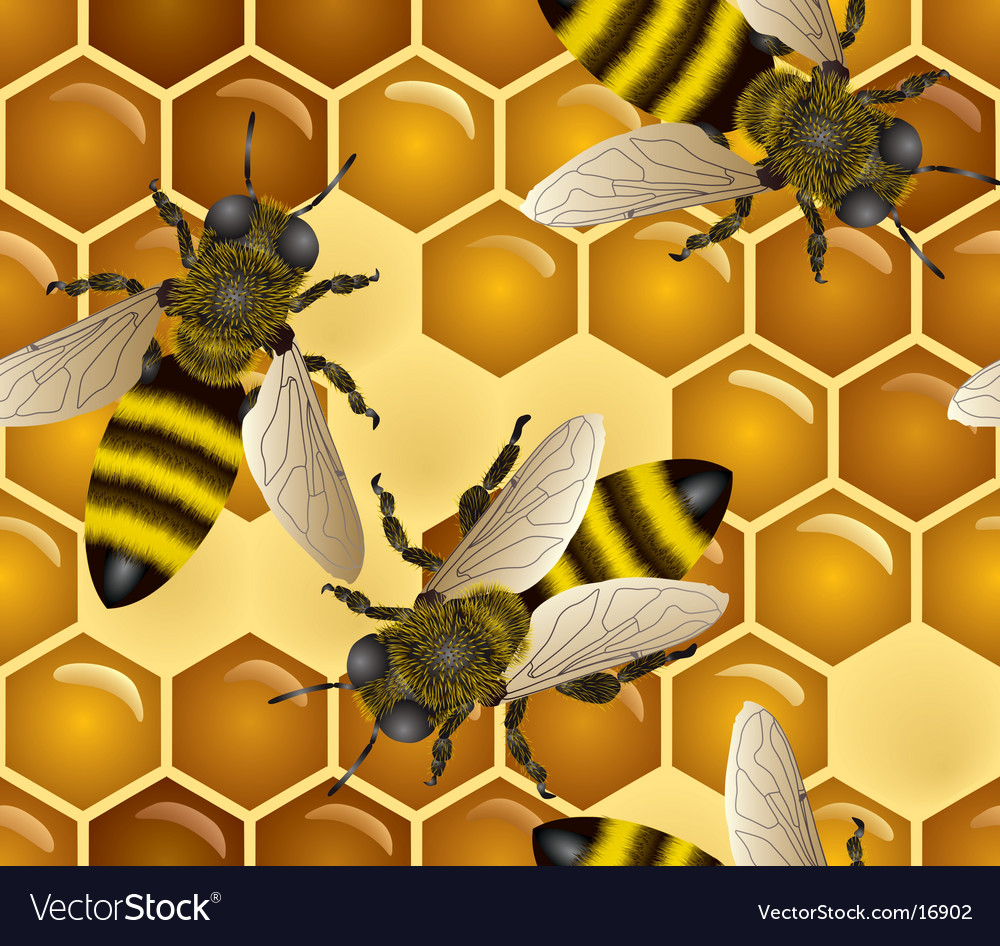 Honey bees pattern Royalty Free Vector Image - VectorStock