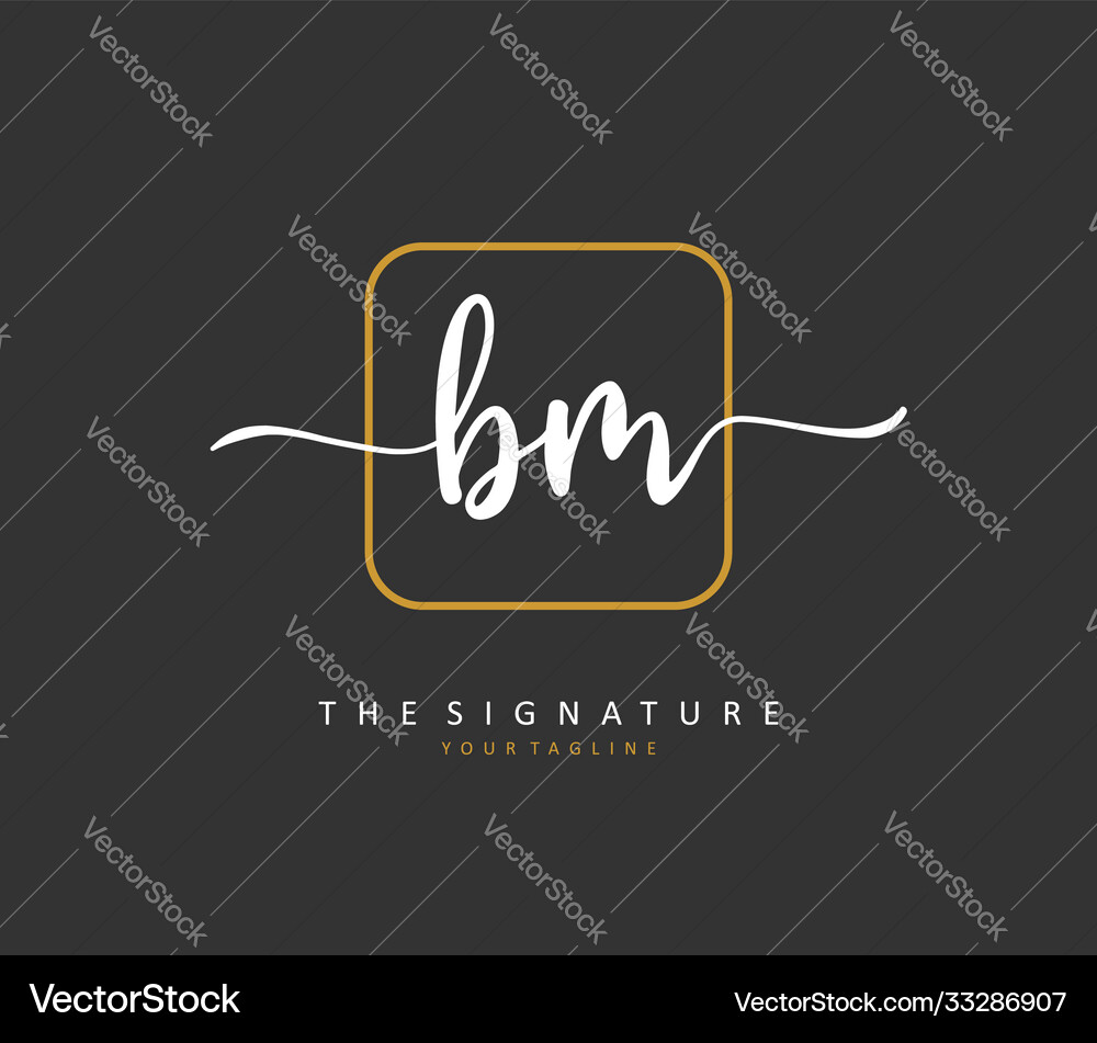 B m bm initial letter handwriting and signature Vector Image