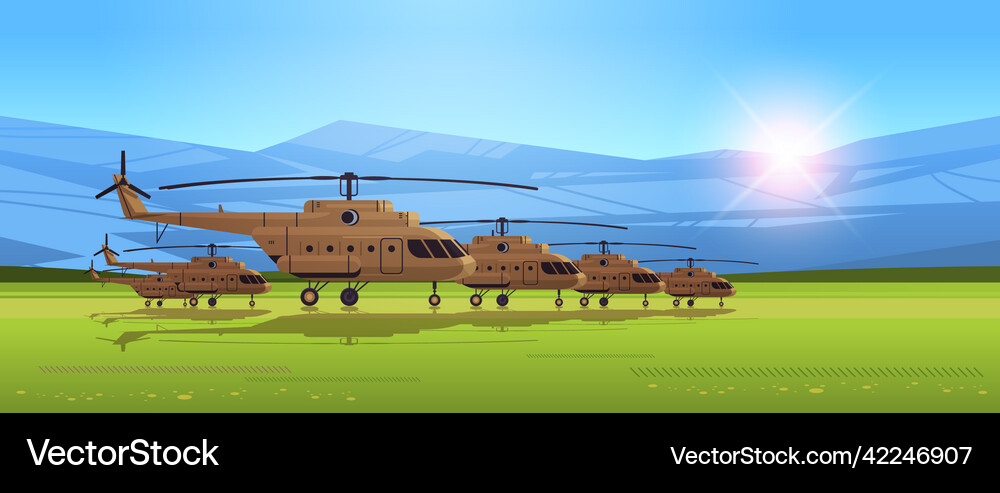 Camouflaged attack helicopters special battle Vector Image