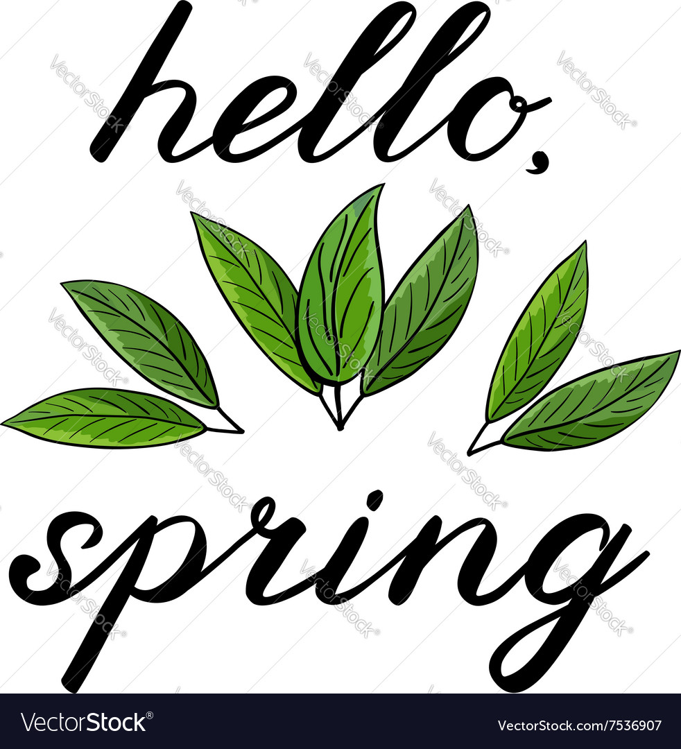 Hello spring handwritten Royalty Free Vector Image