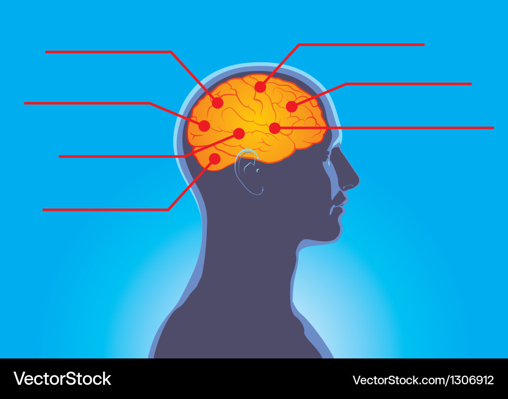Human thoughts Royalty Free Vector Image - VectorStock
