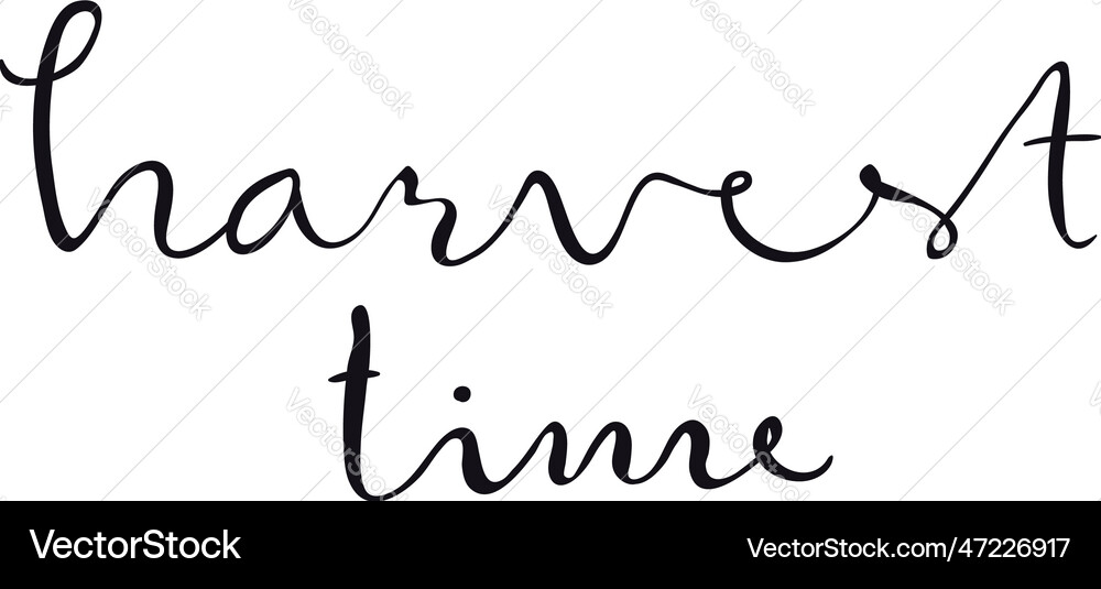 Harvest time handwritten typography quote Vector Image