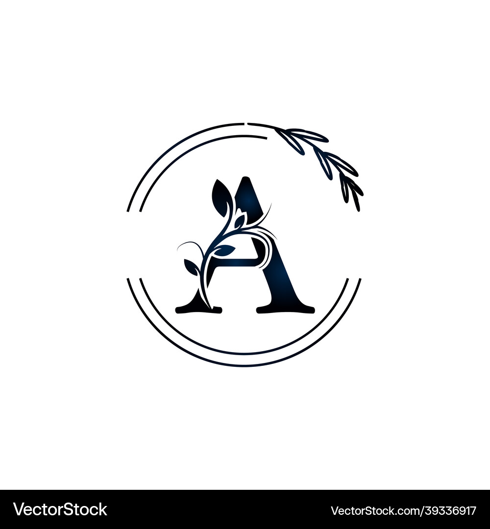 Initial letter a botanical flowers with lettering Vector Image