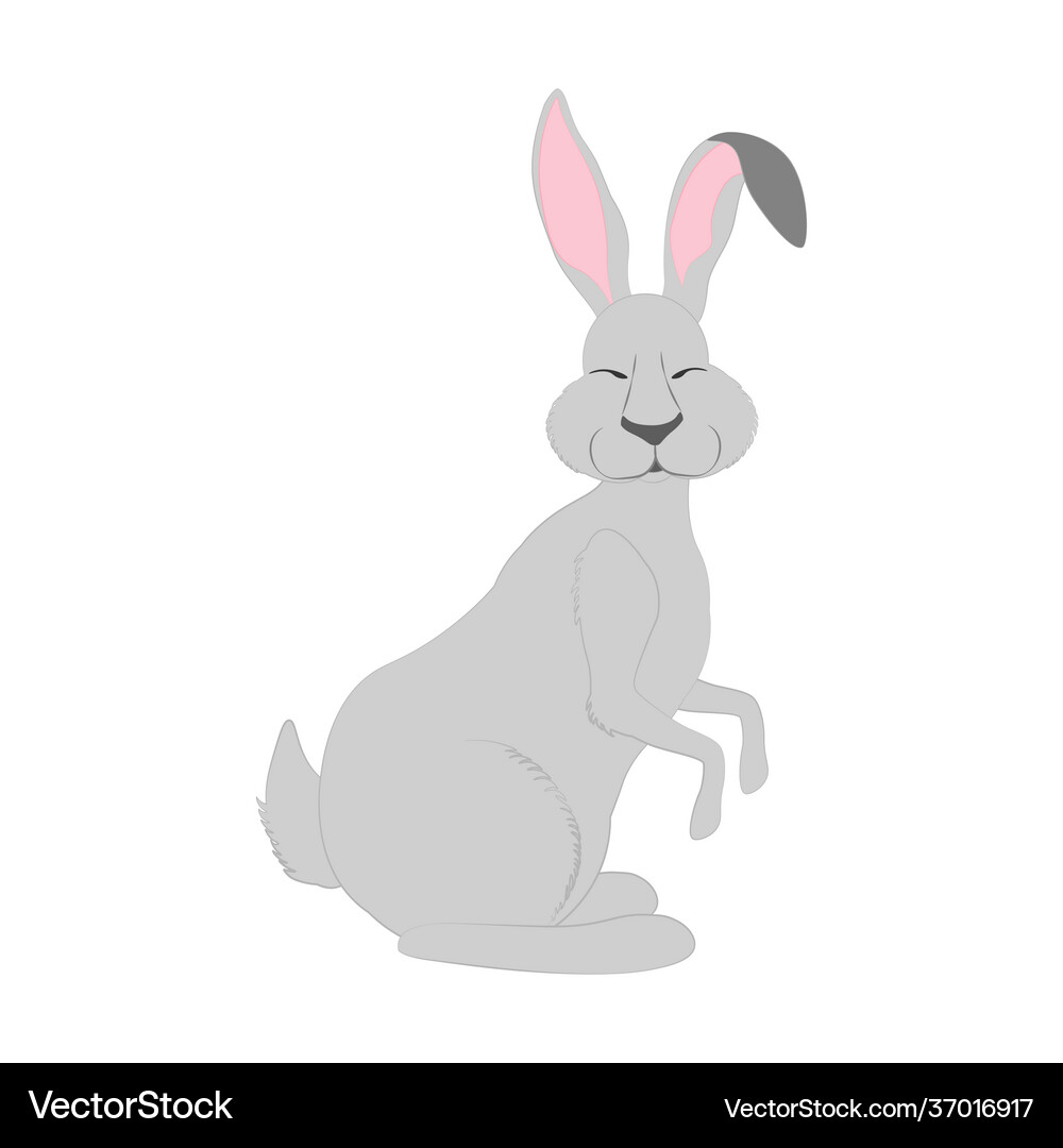 Rabbit little bunny cute animal Royalty Free Vector Image