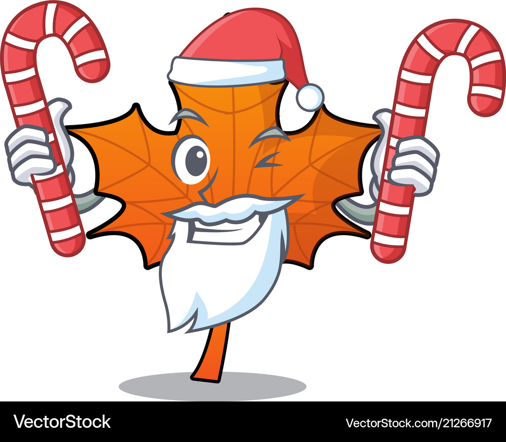 Santa with candy red maple leaf mascot cartoon Vector Image