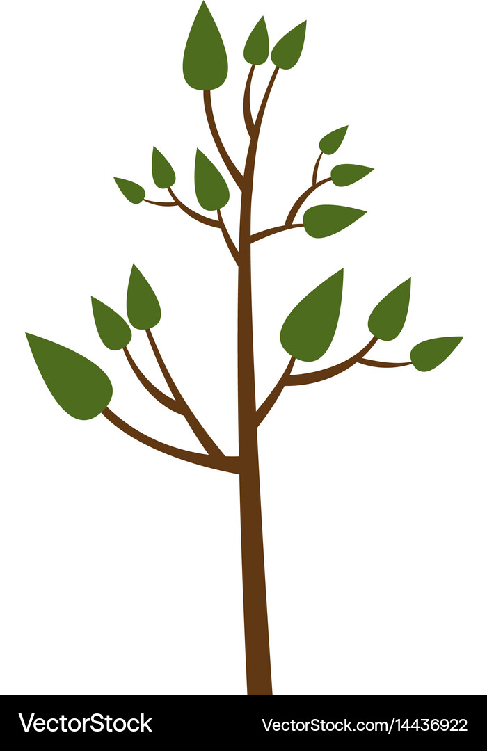 Colorful silhouette small tree with leaves Vector Image