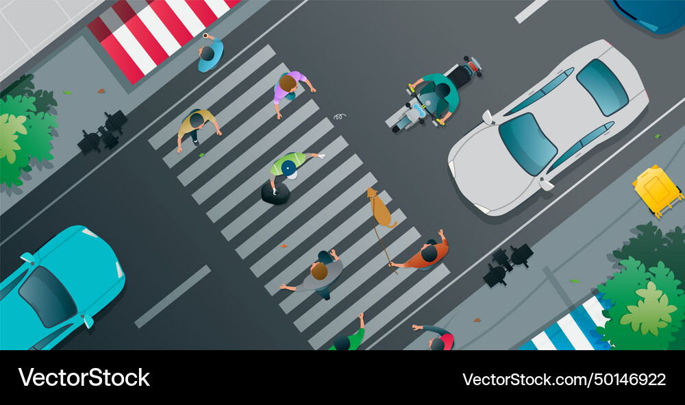 Topview crosswalk Royalty Free Vector Image - VectorStock