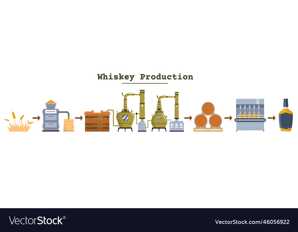 Whiskey making flat infographics Royalty Free Vector Image