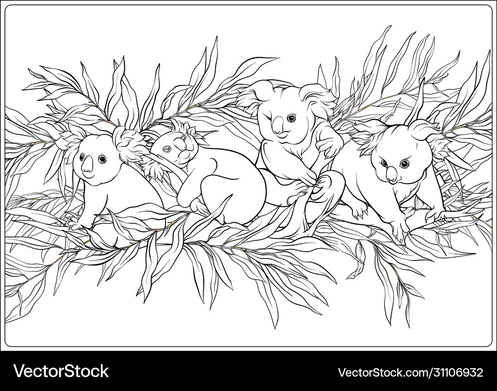 Koala and eucalyptus coloring page for adult Vector Image