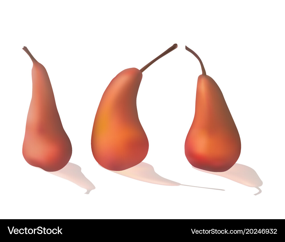 Set of ripe red pears Royalty Free Vector Image