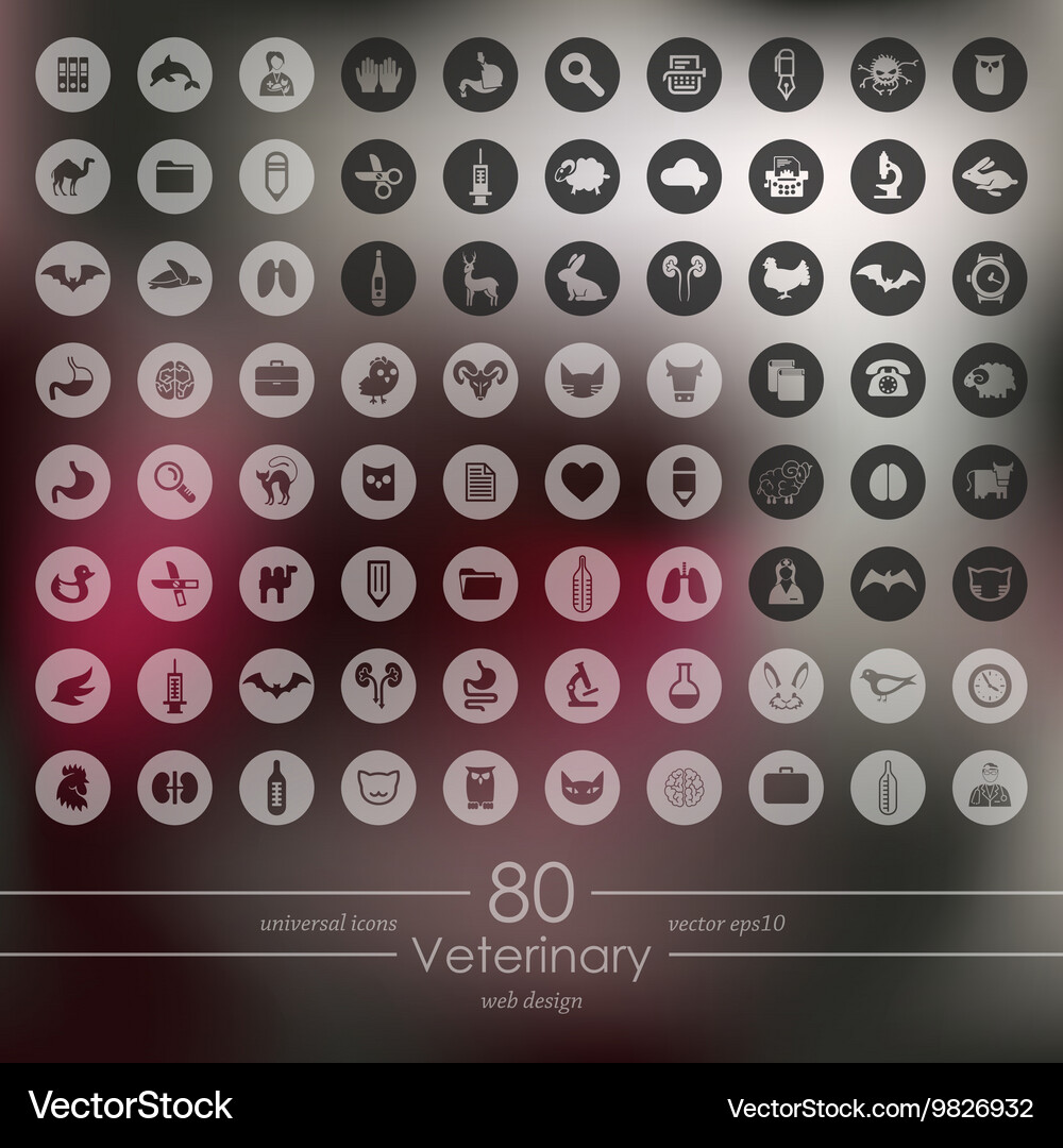 Set of veterinary icons Royalty Free Vector Image