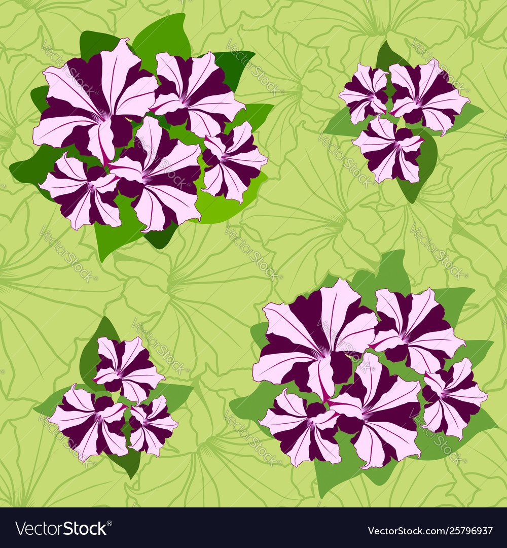 Floral seamless pattern decorative flower Vector Image