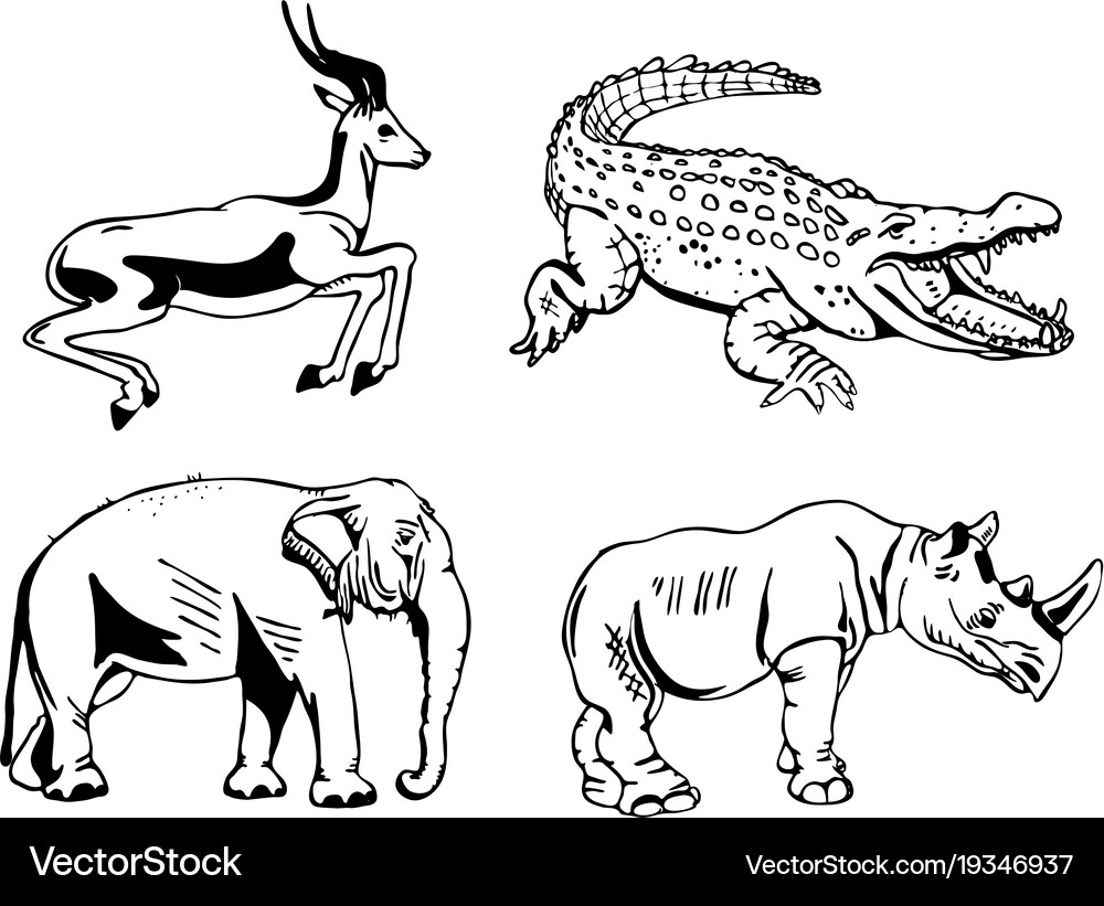 Hand-drawn pencil graphics african animals set Vector Image