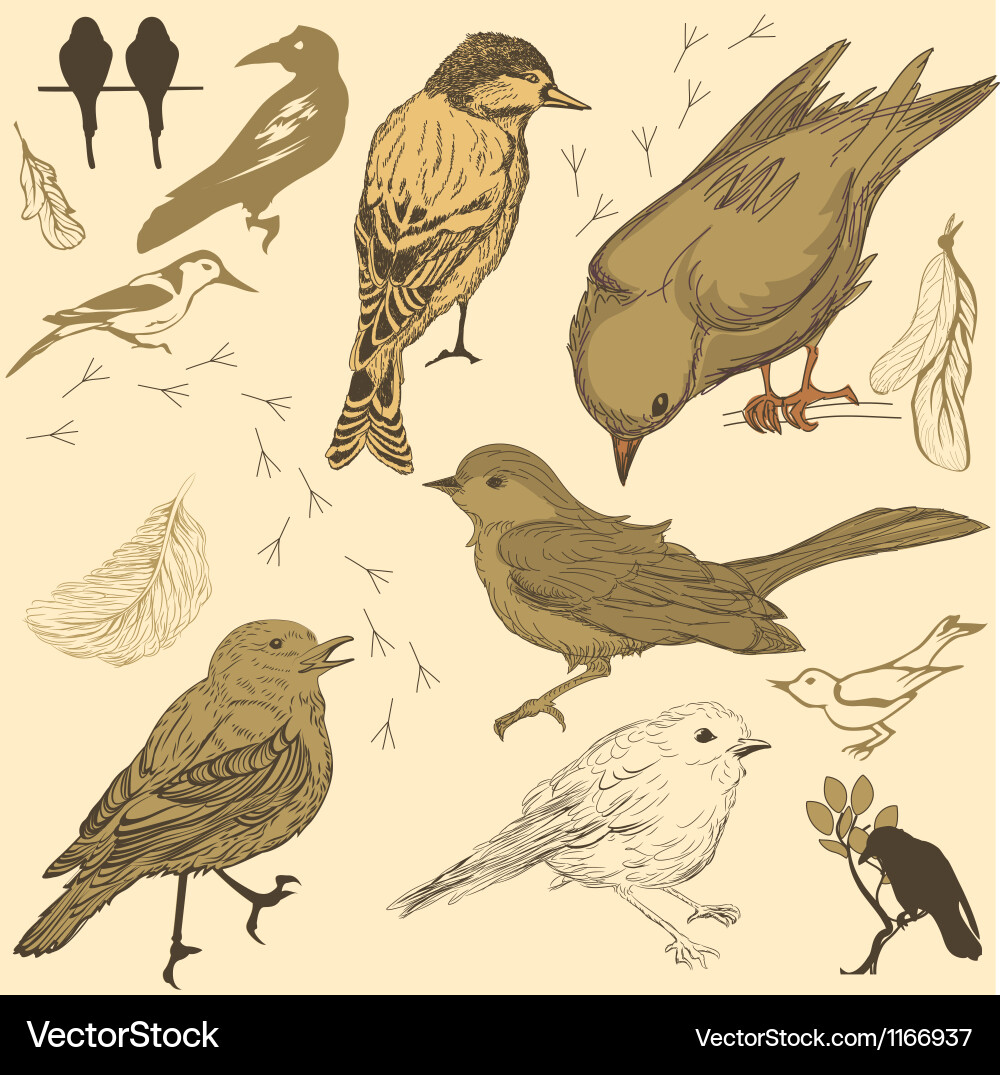 Set of handdrawn birds Royalty Free Vector Image