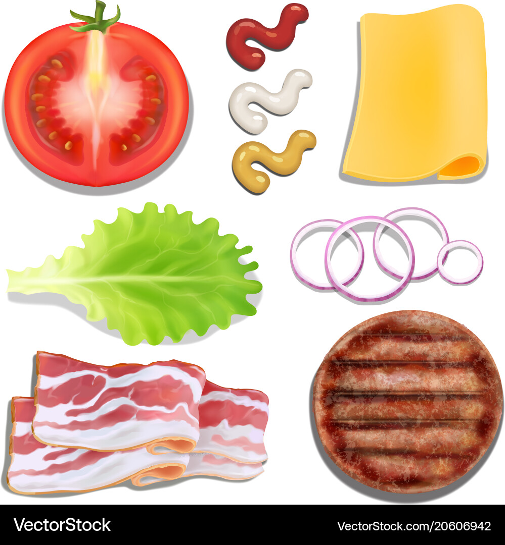 Burger ingredients burger parts set Royalty Free Vector