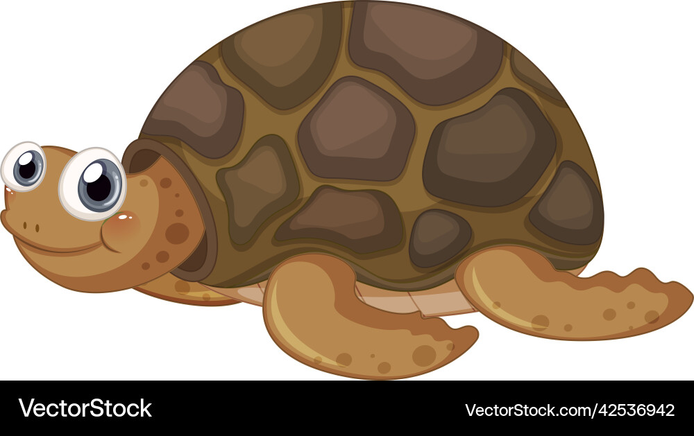 Cute turtle cartoon character on white background Vector Image
