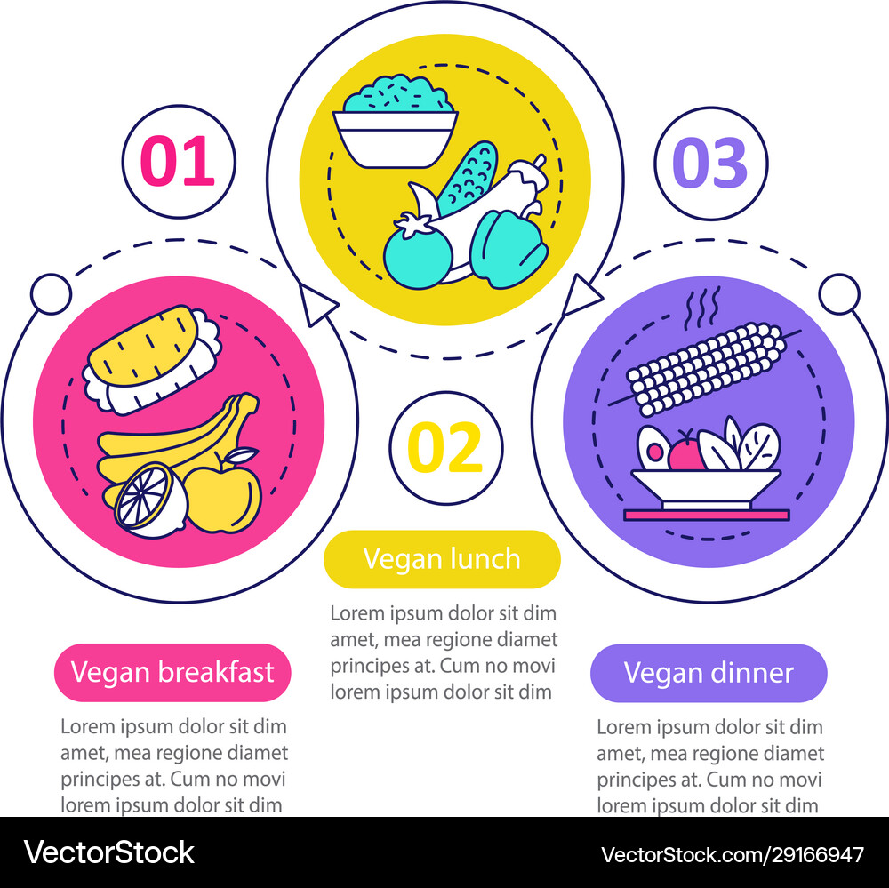 Vegan menu infographic template business Vector Image