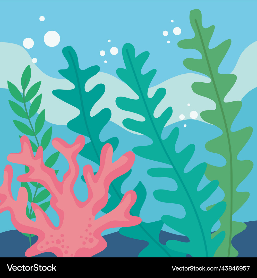 Pink seaweed and algaes Royalty Free Vector Image