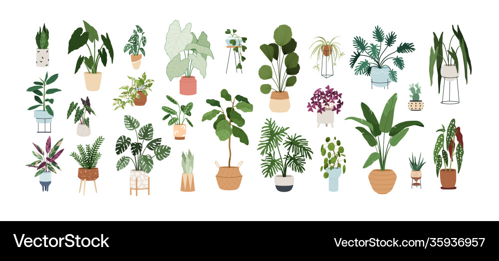 Set trendy potted plants for home different Vector Image