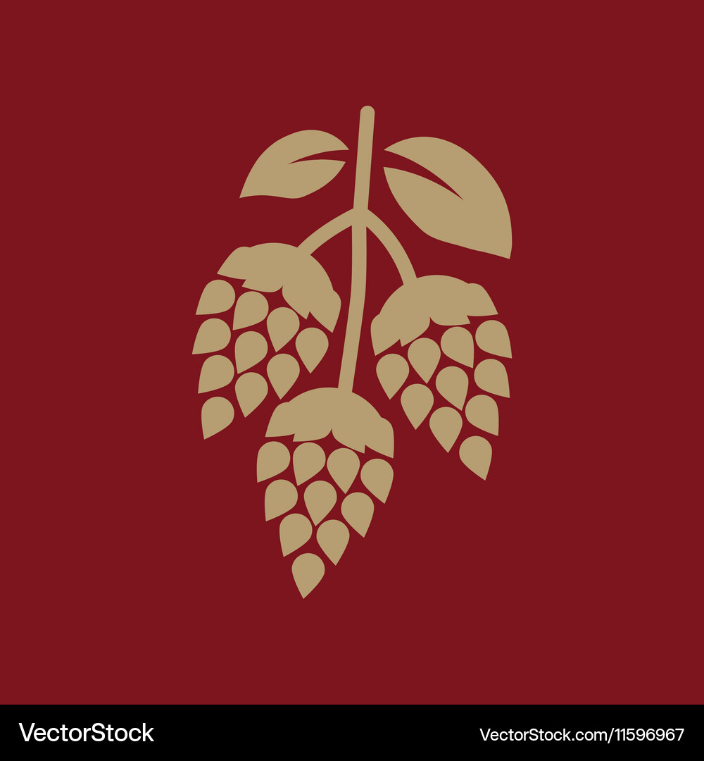 Hops icon Beer and hop Hops symbol UI Web Vector Image