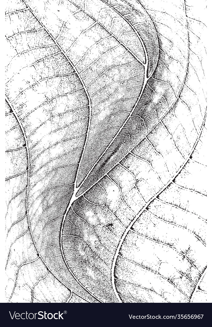 Leaf overlay texture Royalty Free Vector Image