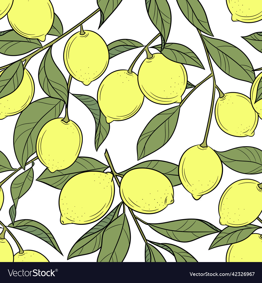 Lemon tree repeat pattern citrus fruits Royalty Free Vector