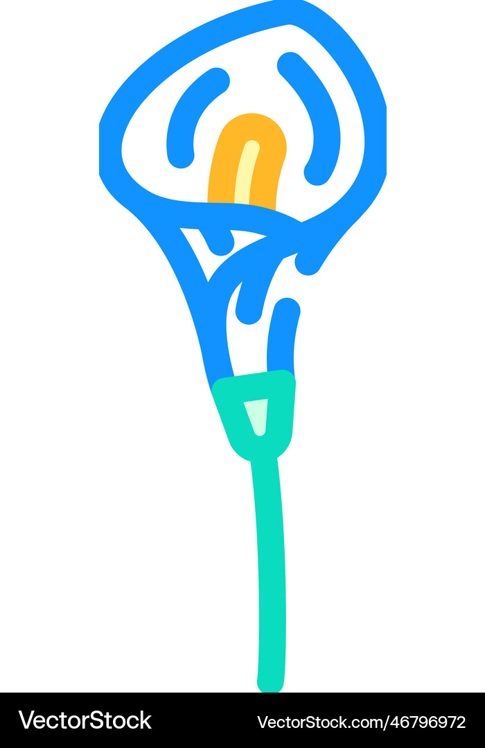 Calla lily blossom spring color icon Royalty Free Vector